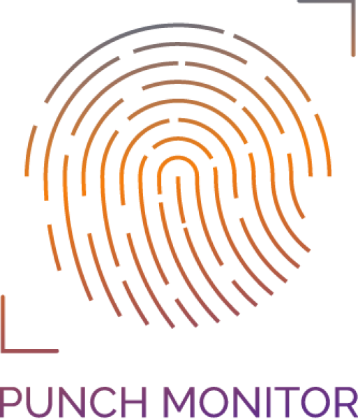 Punch Monitor | visionstovictory